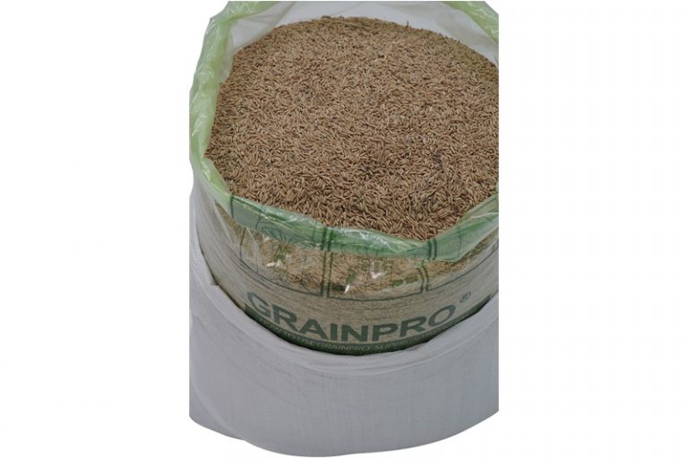 SuperGrainbag Farm – GrainPro | เทคโนโลยี Ultra Hermetic จัดเก็บรักษา ...